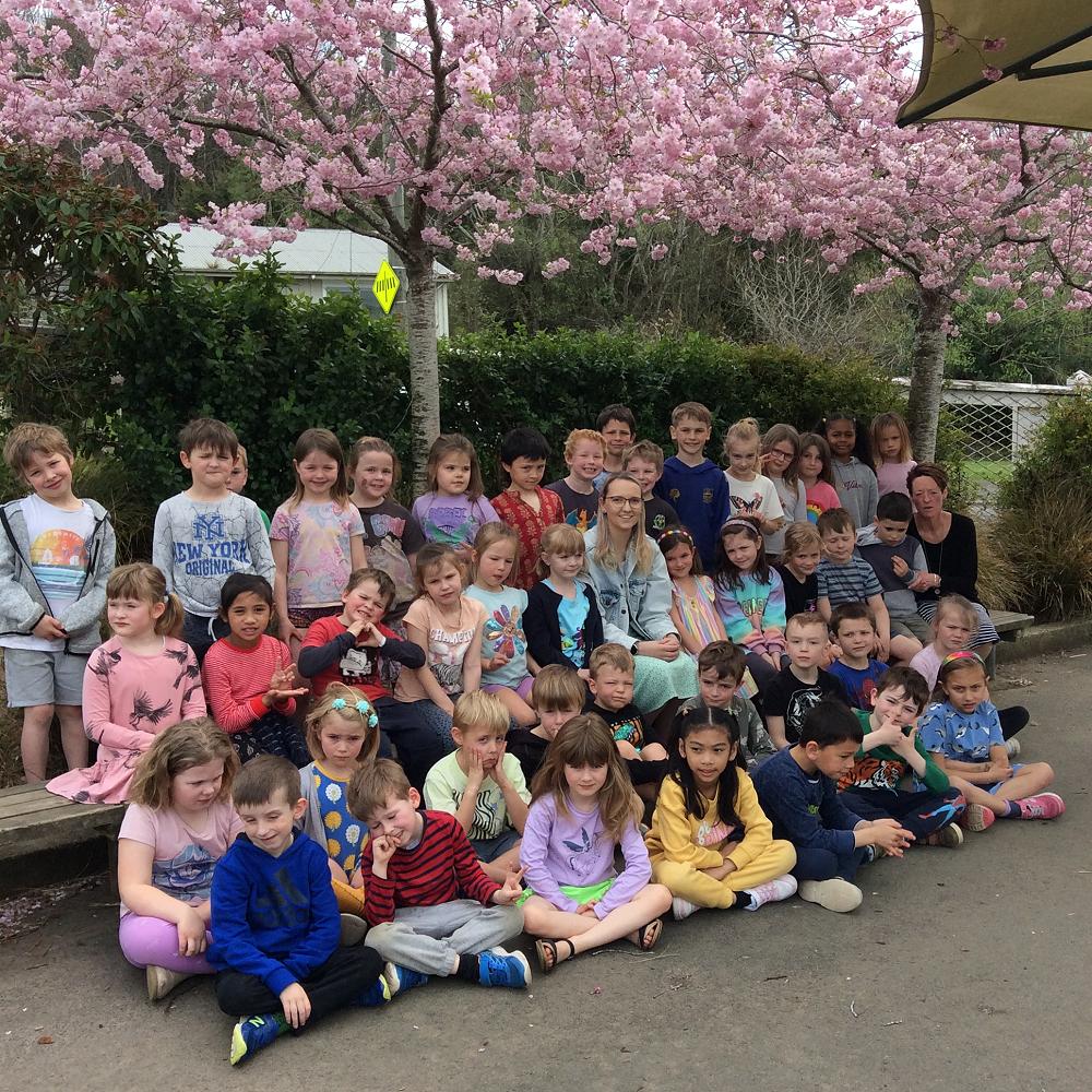 A fun filled year in the Year 2 Hub.