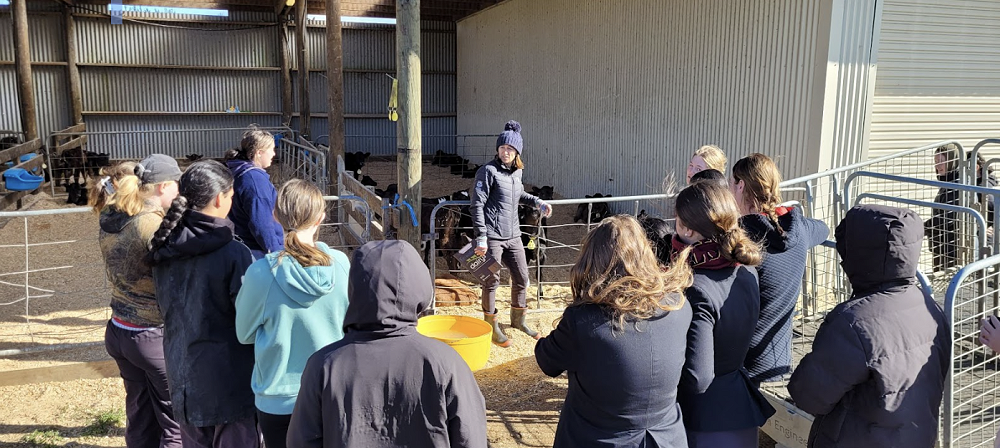 Owl Farm Visit