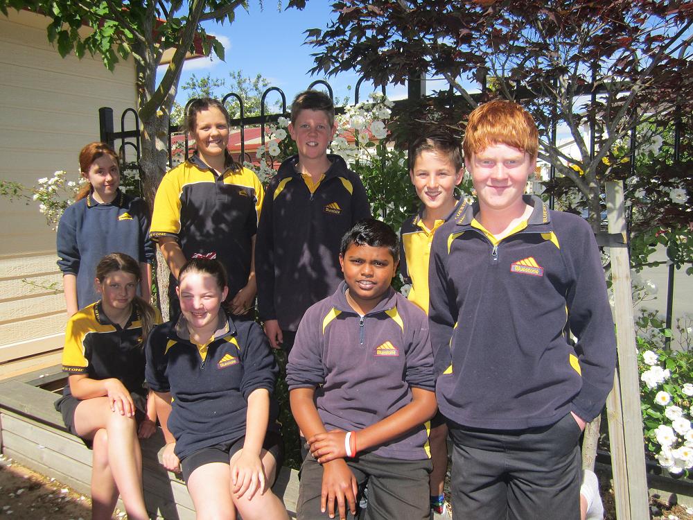 Students teaching Students — 2015 at Bluestone School