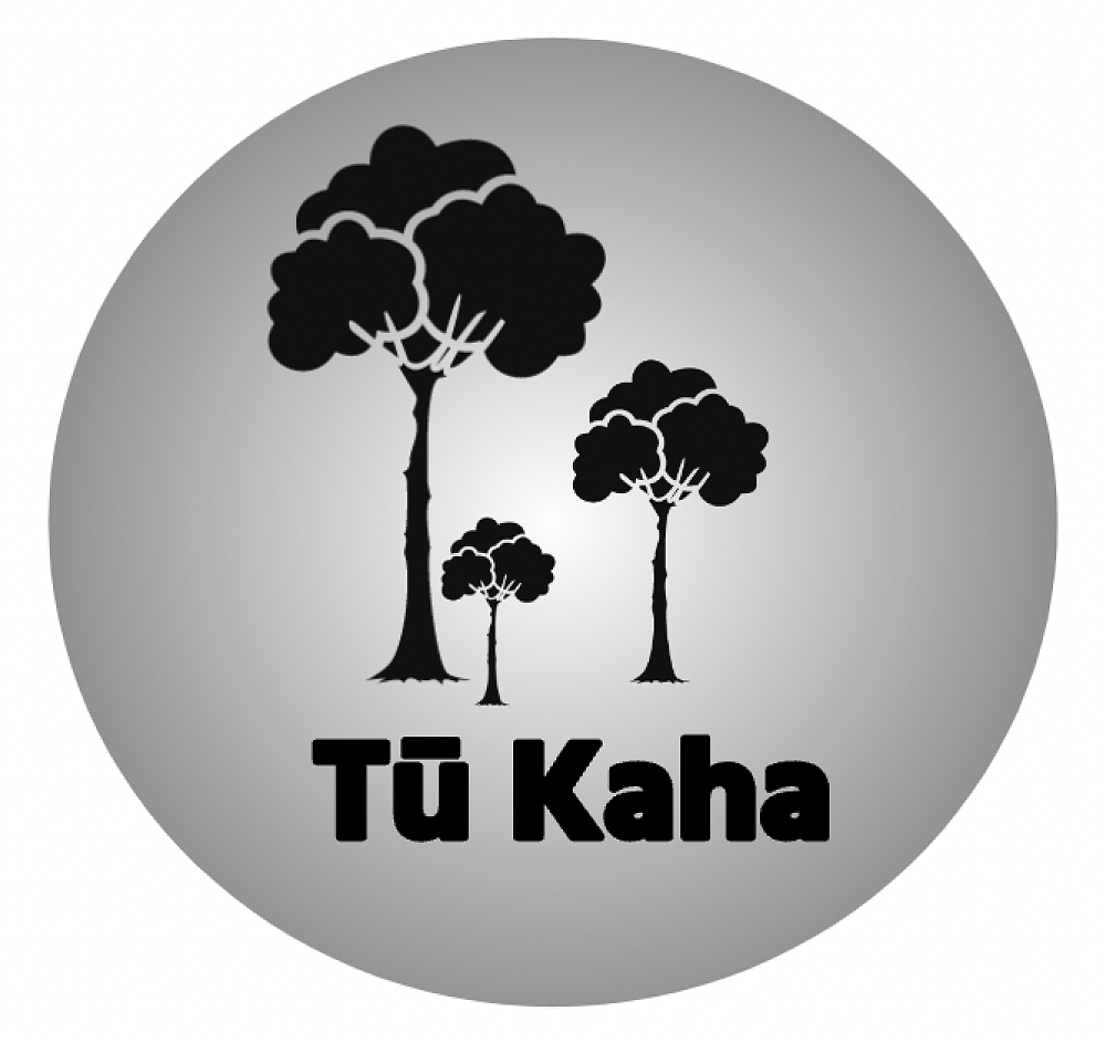 Tū Kaha — Our TPS Values
