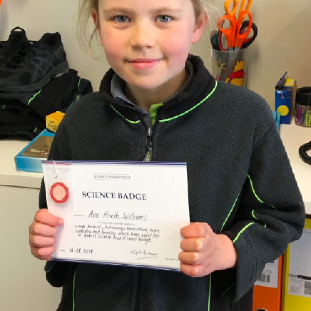 Science Award Trust - Bronze Award