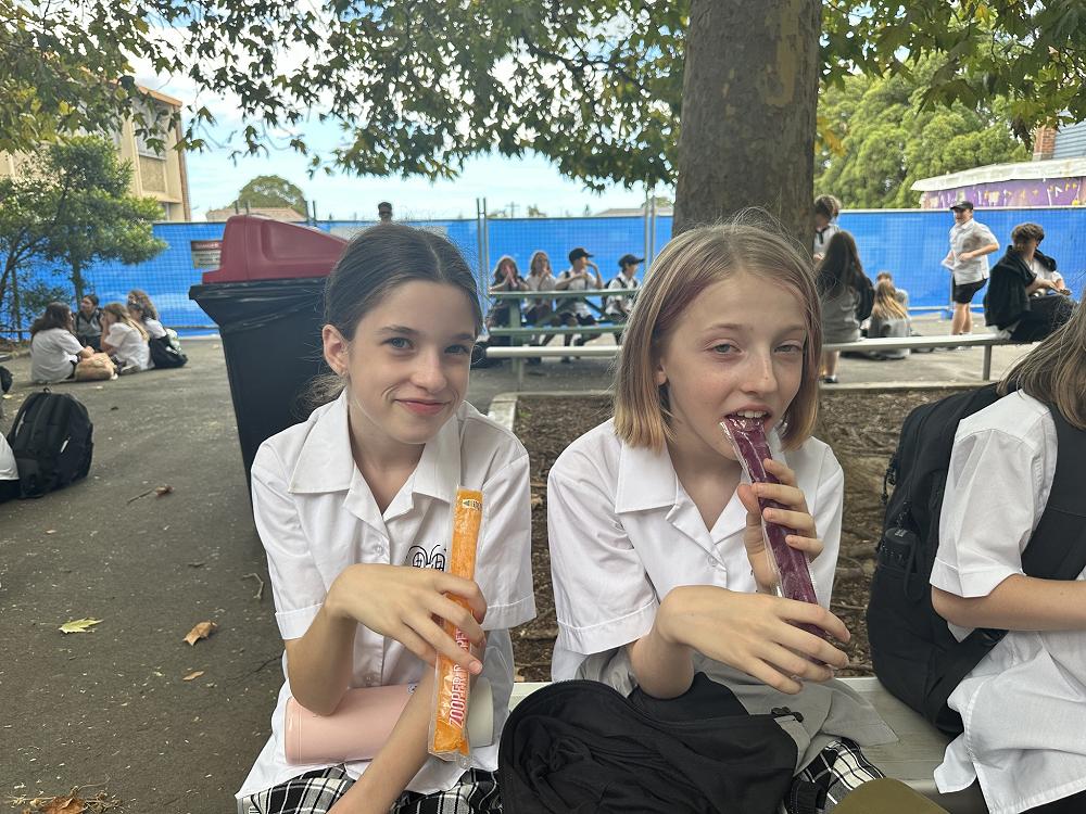 Year 7 Peer Support Program Wraps Up