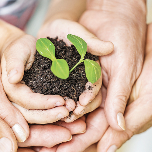 Diamond Harbour School – Te Kura o Te Waipapa