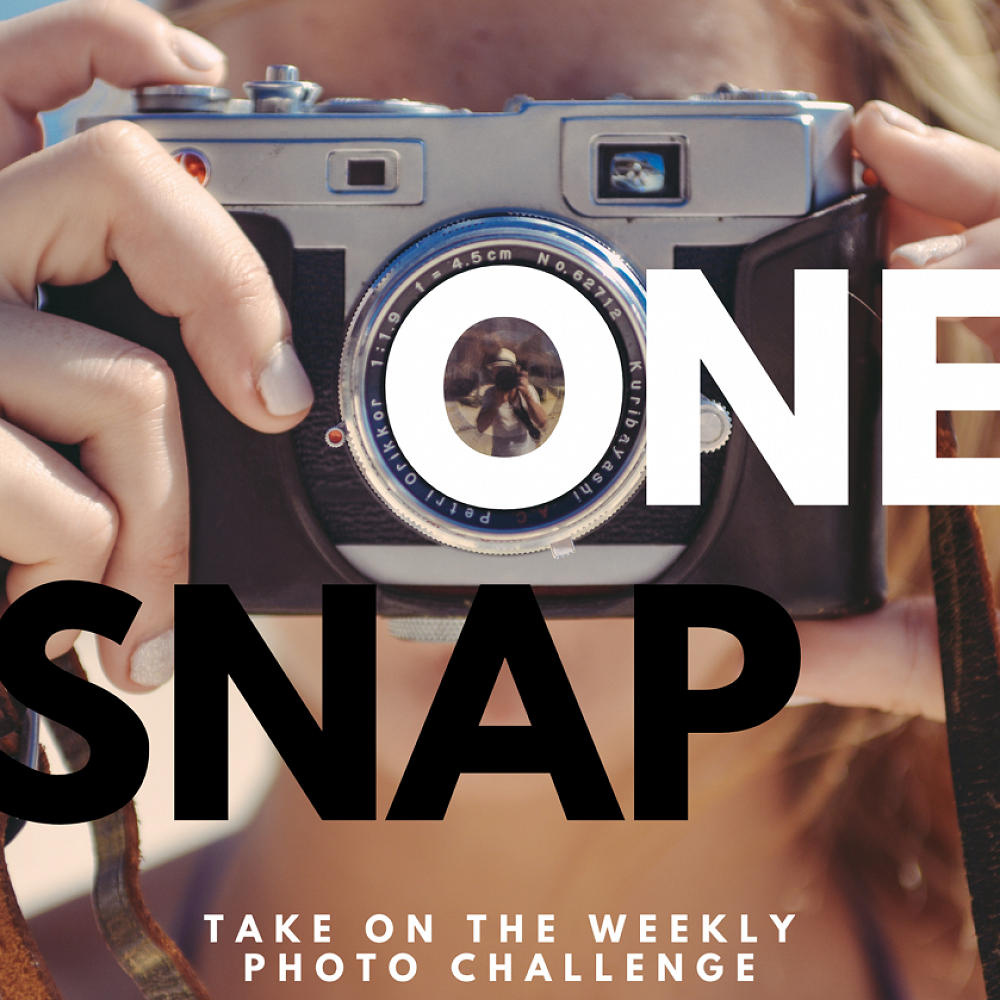 Do you have what it takes to take on the weekly photo challenge!