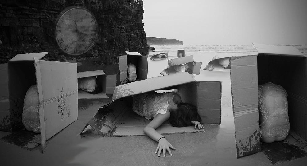 Exciting Photography Results