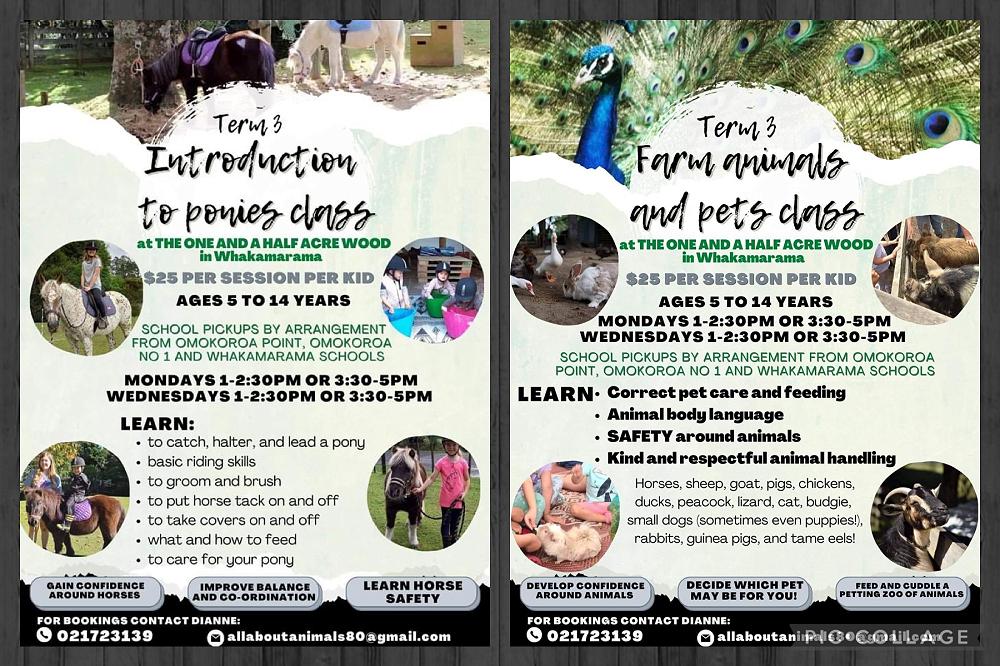 Ponies and Pet Classes — Newsletter Week 4 Term 3, 2022