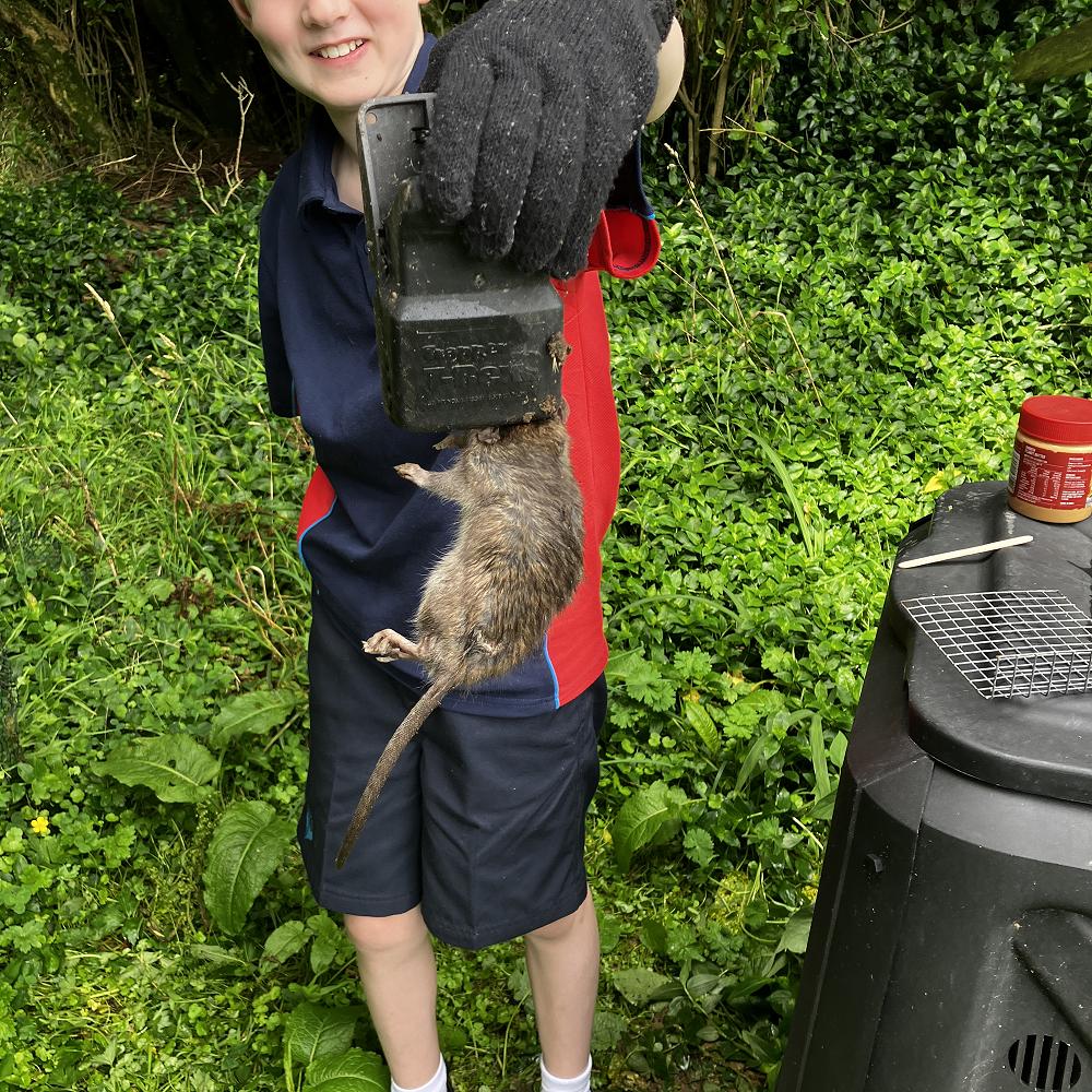 My first trap