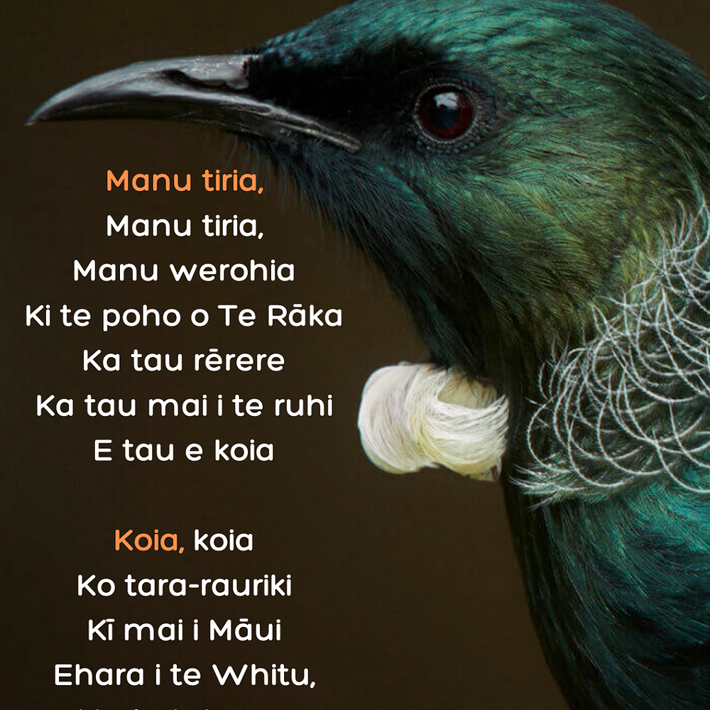 Let's learn an item - Manu Tiria