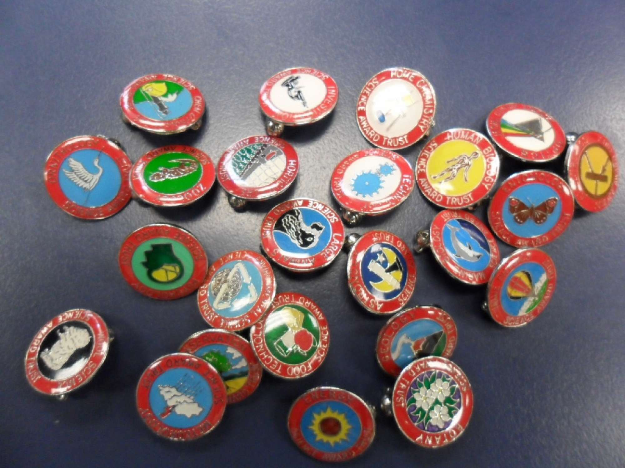 Year 7 & 8 Science Badges