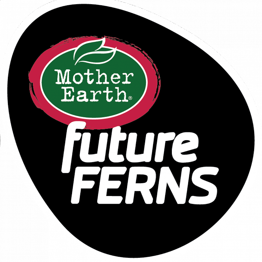 Future Ferns and Year 5 & 6 YMCA Basketball