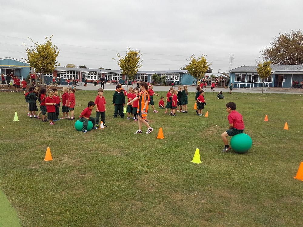 Physical Activity Leaders