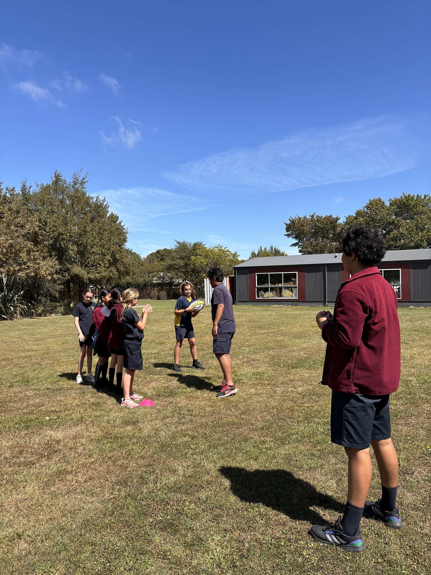 PALs (Physical Activity Leaders)