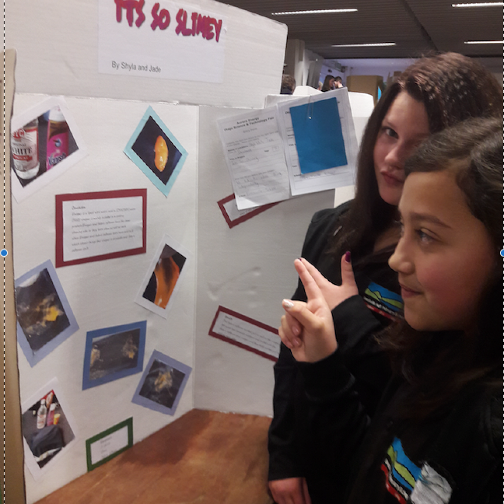 2018 Science Fair