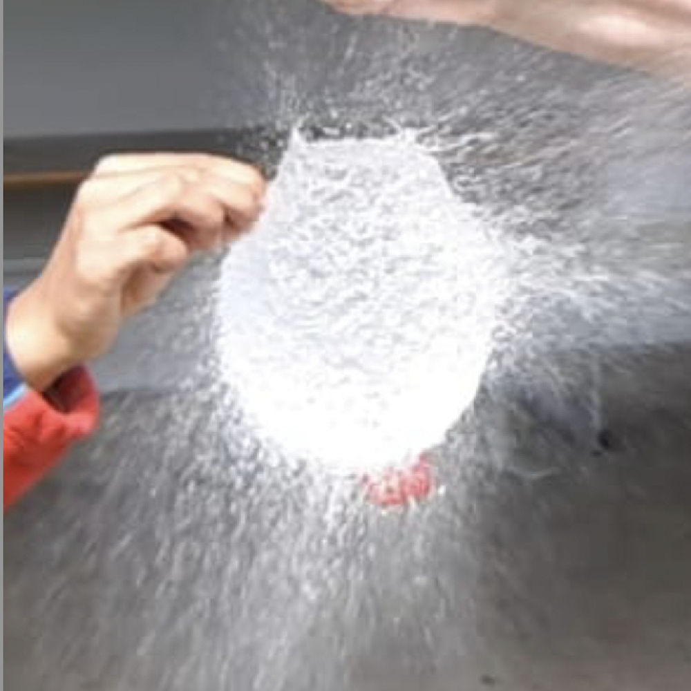 Science morning — Newlands Intermediate School Newsletter - April 2024