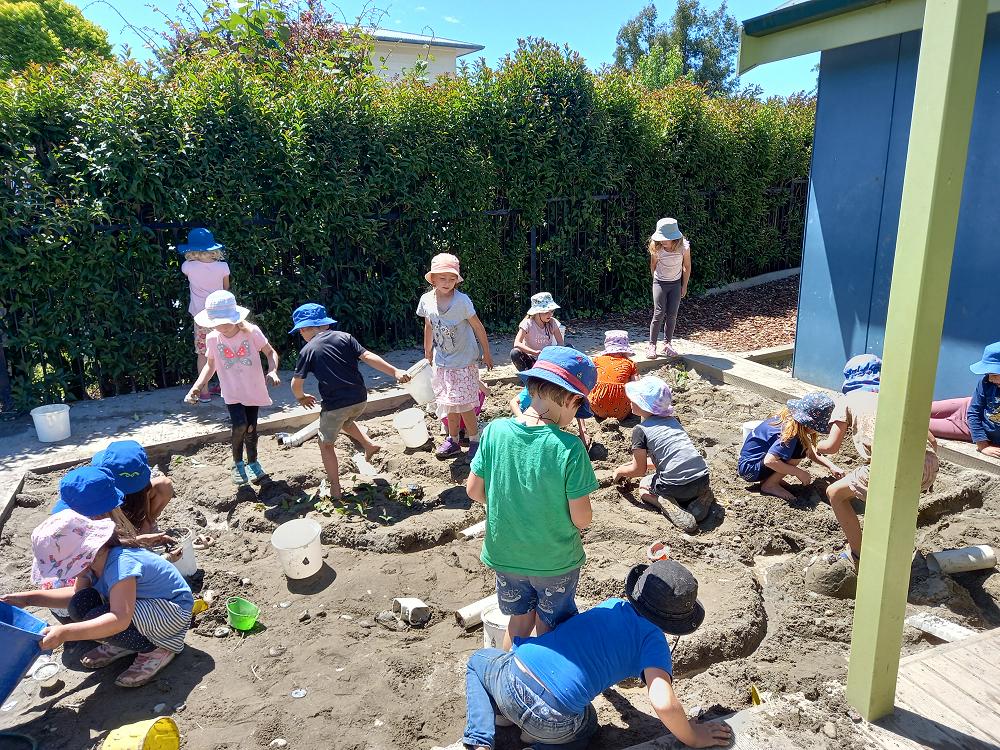 Toetoe gets creative.