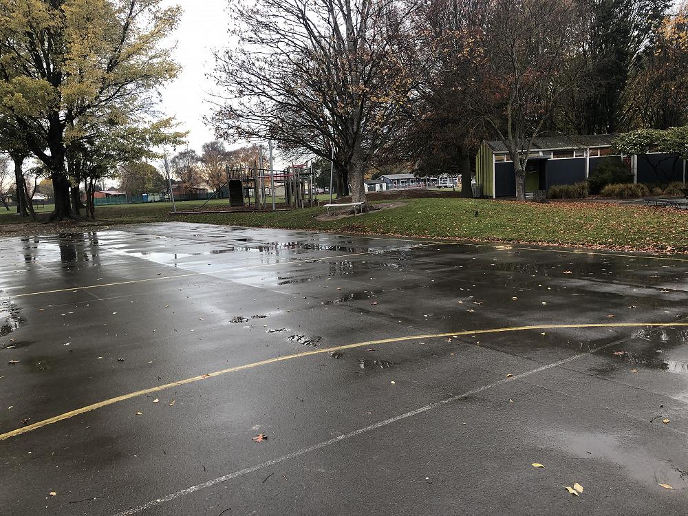 No assembly today - Friday 28 May