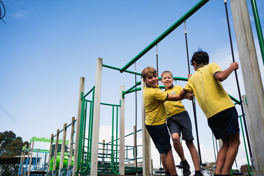 Newsletter: Term 2, Week 6