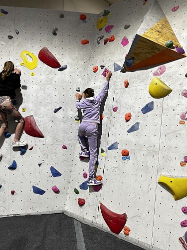 Resistance Climbing - C.A.P.E.S Adventure — Term 2 Week 6 Newsletter