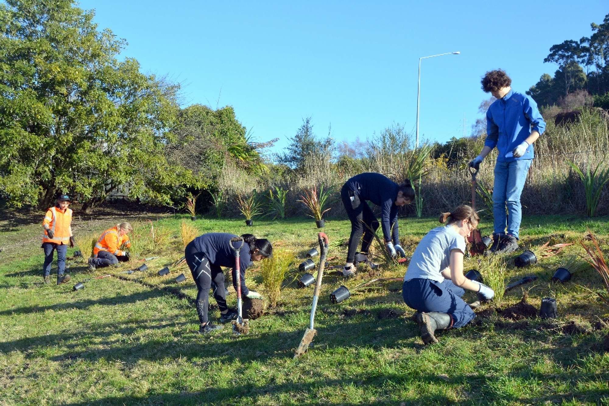 Caversham Reserve Upgrades