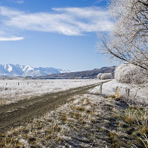 "For What It's Worth" by Rosemary Riddell and Bruce Drysdale