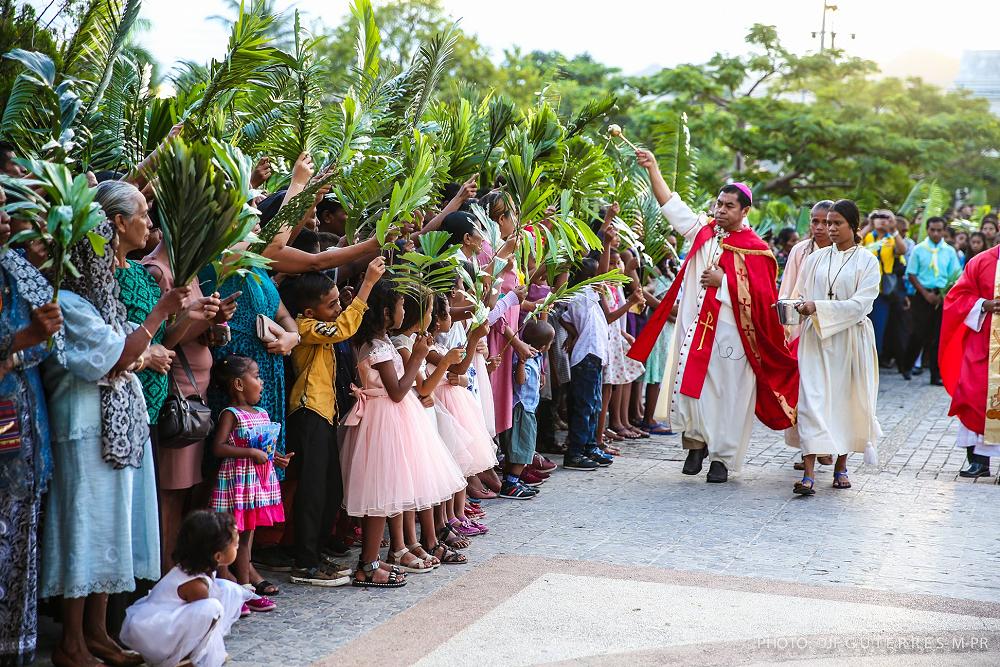 This Sunday is Palm Sunday , the beginning of our commemorations of ...