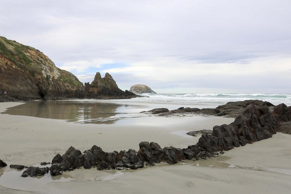 New Science Courses for 2019 — Excellence on so many levels!