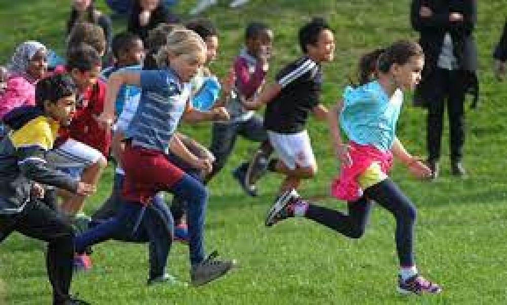 TAURIKO SCHOOL CROSS COUNTRY INFORMATION 2023