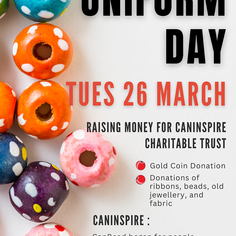 Non-Uniform Day - Tuesday 26 March! — Term One Week Eight