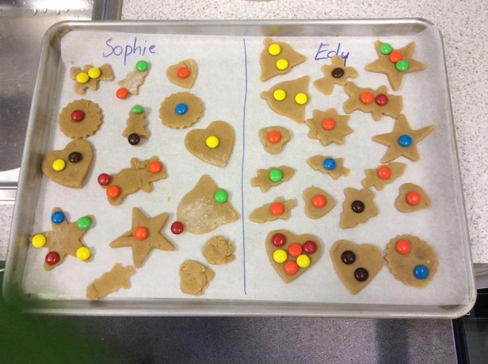 Kauri and Kahikatea's Christmas Craft Day