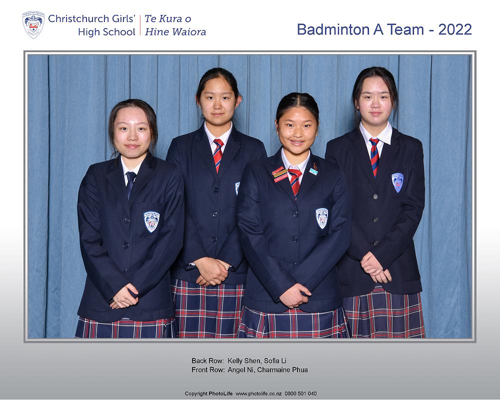 Badminton Teams