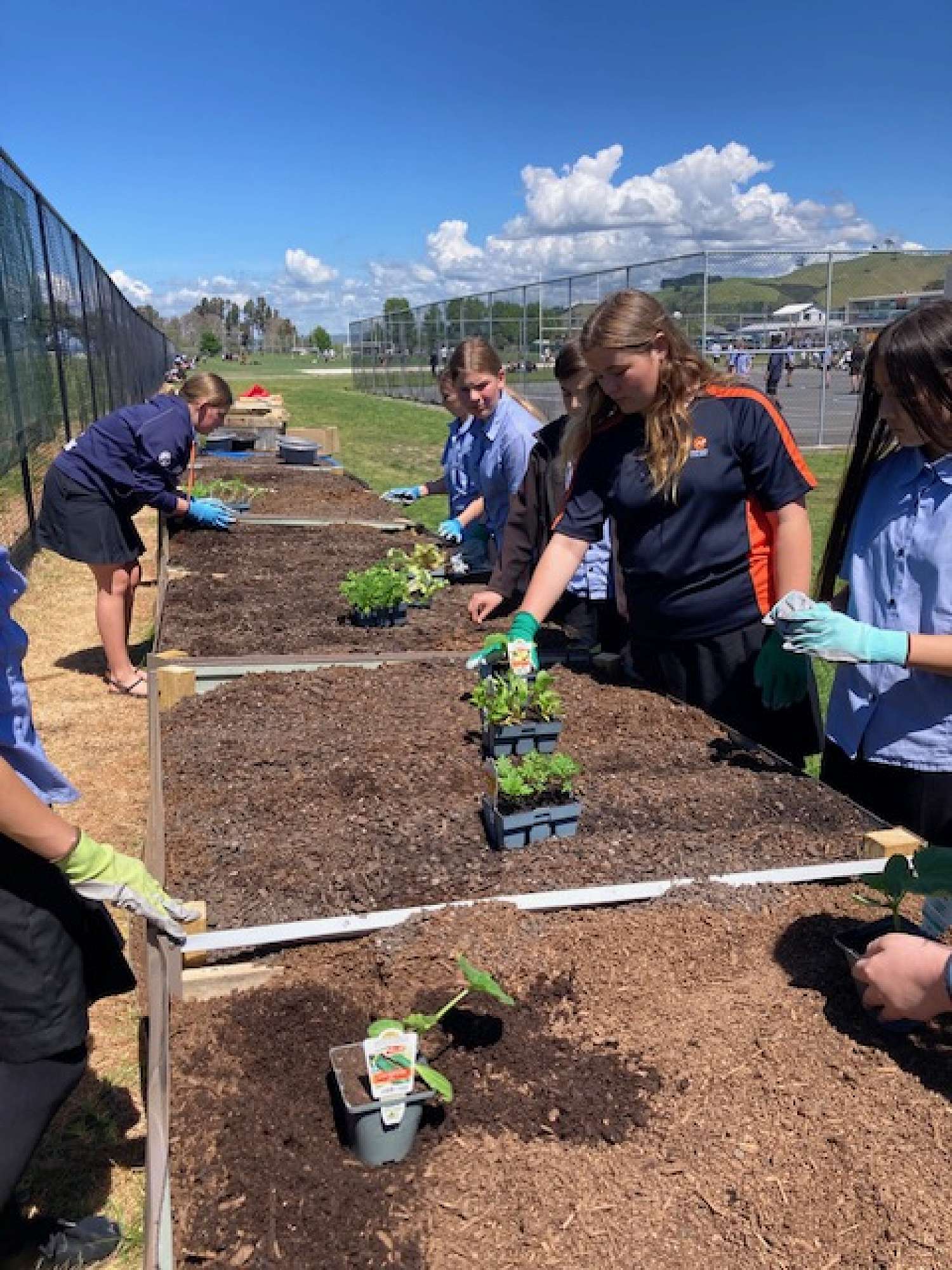 Garden to Table Update