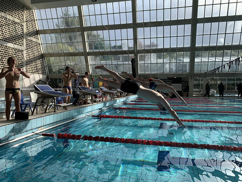 Hanover triumphs in Swimming Sports