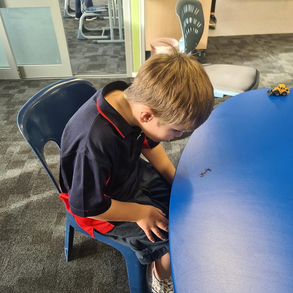 New Role as Classroom Release Teacher. — Pītau-Allenvale School News ...