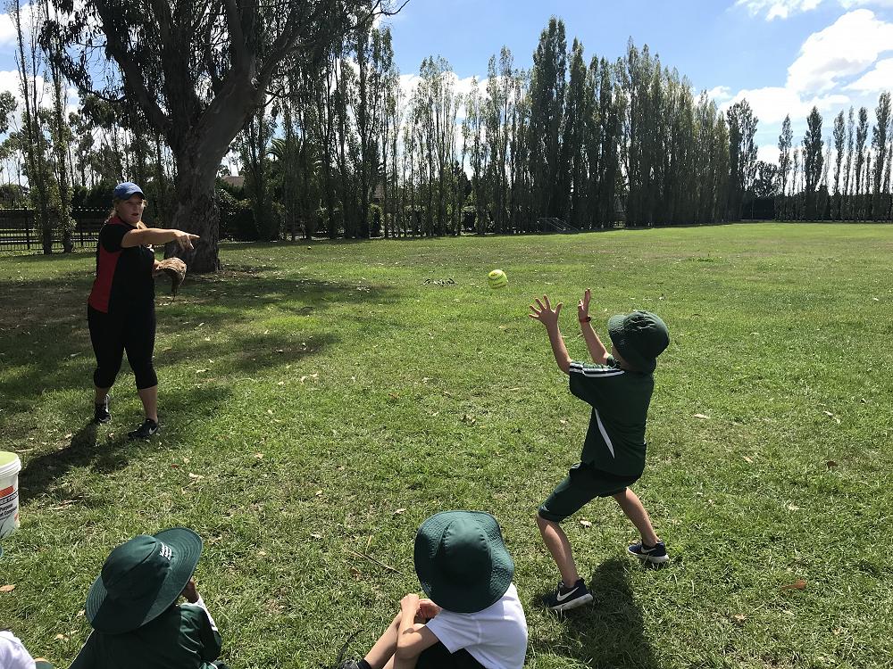 Softball Coaching for Years 3 - 8 on Friday Afternoons