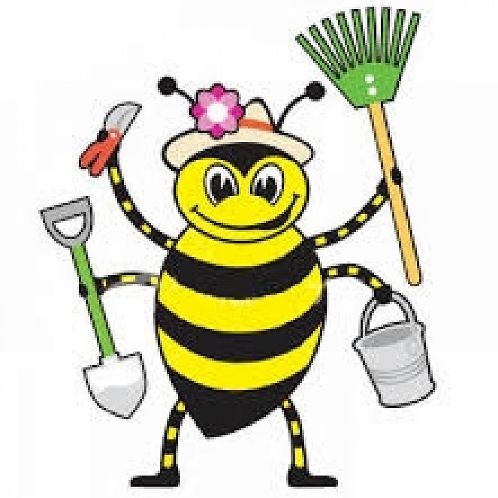 School Working Bee - Sunday, 24 July 2022 @ 1PM