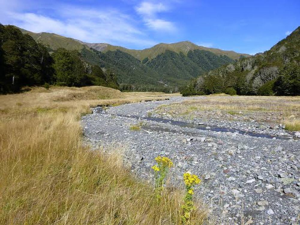 Year 9 Camps Cancelled — Straven Road - Term 1, Week 7