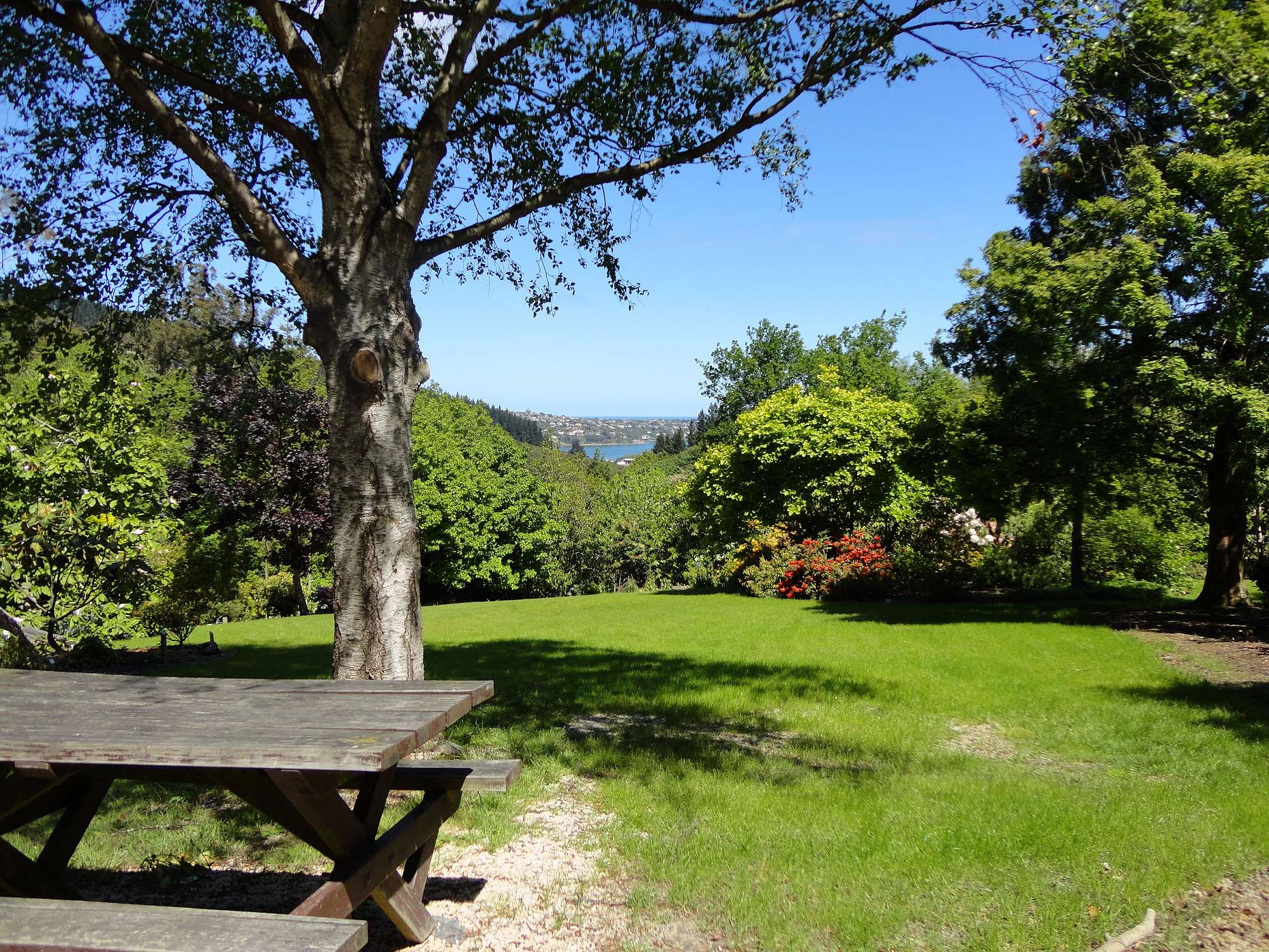 Tannock Glen, a hidden gem in Opoho, Dunedin