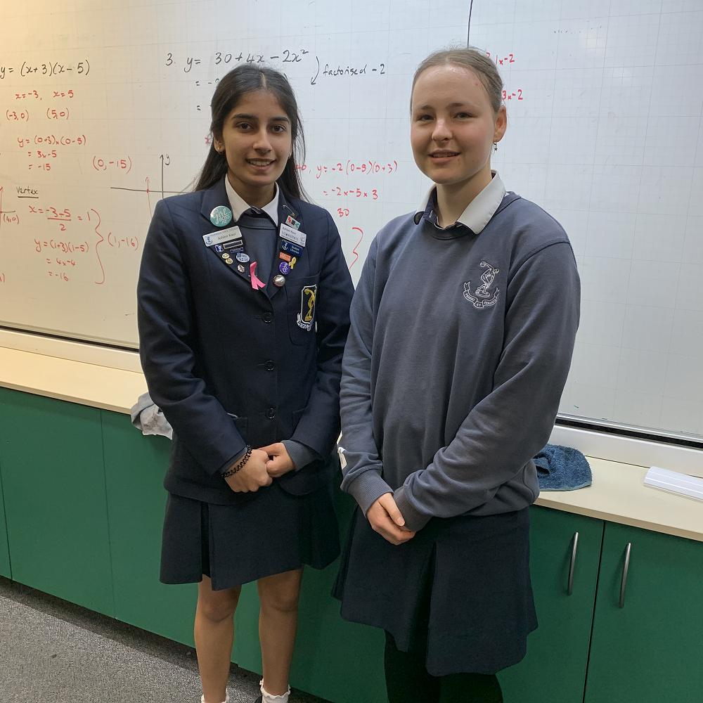 University Mathematics Success