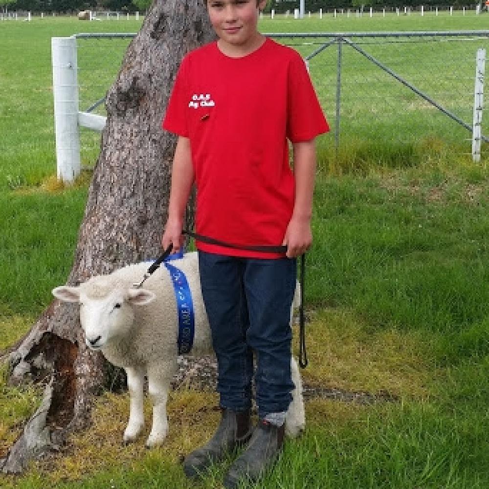 OAS AG Club