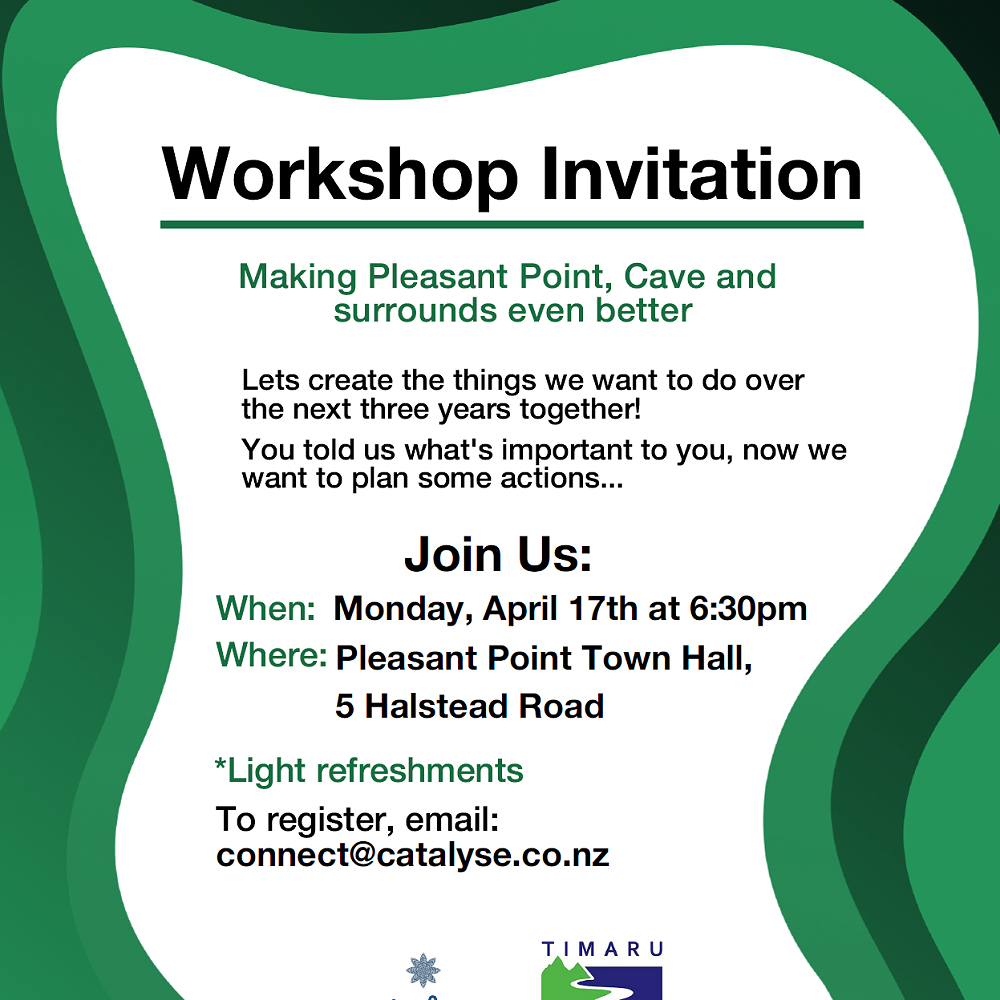 Pleasant Point Community Board - Strategic Plan — Point Primary Pānui ...