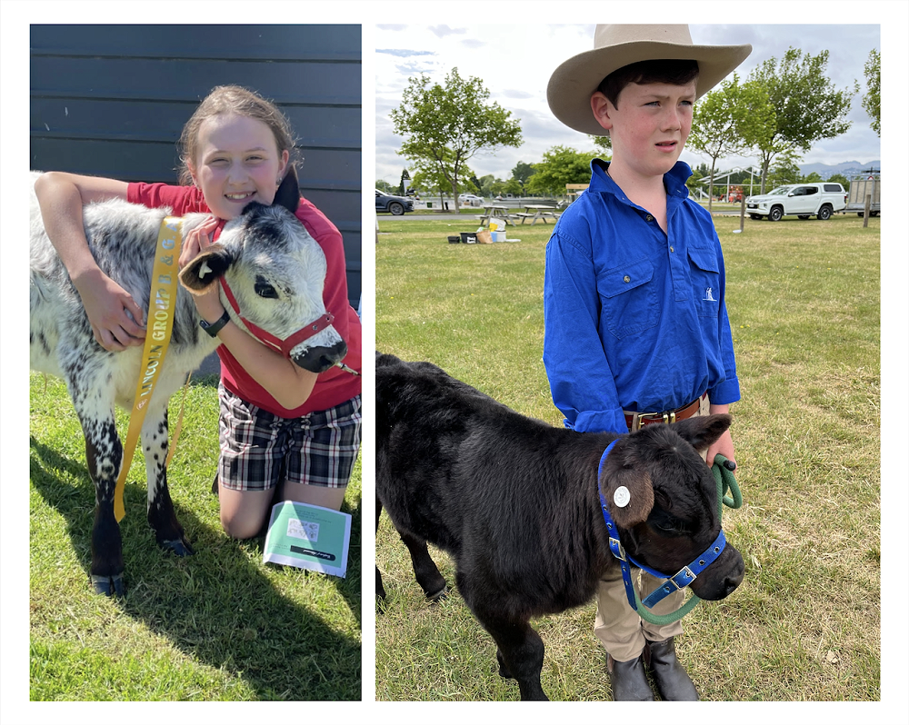 Boys & Girls Agricultural Club Championship Day & Calf Club Event