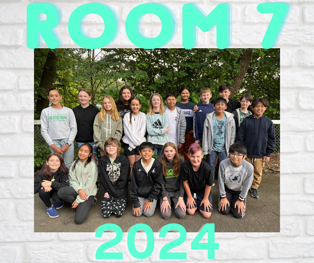 Room 7 Class Update