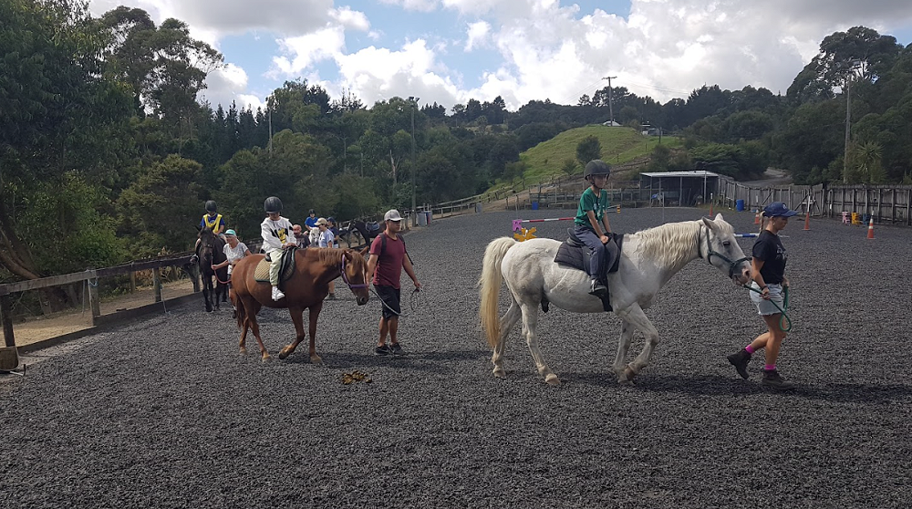 Year 5 Education Outside The Classroom (EOTC) Trip - Sonshine Ranch ...