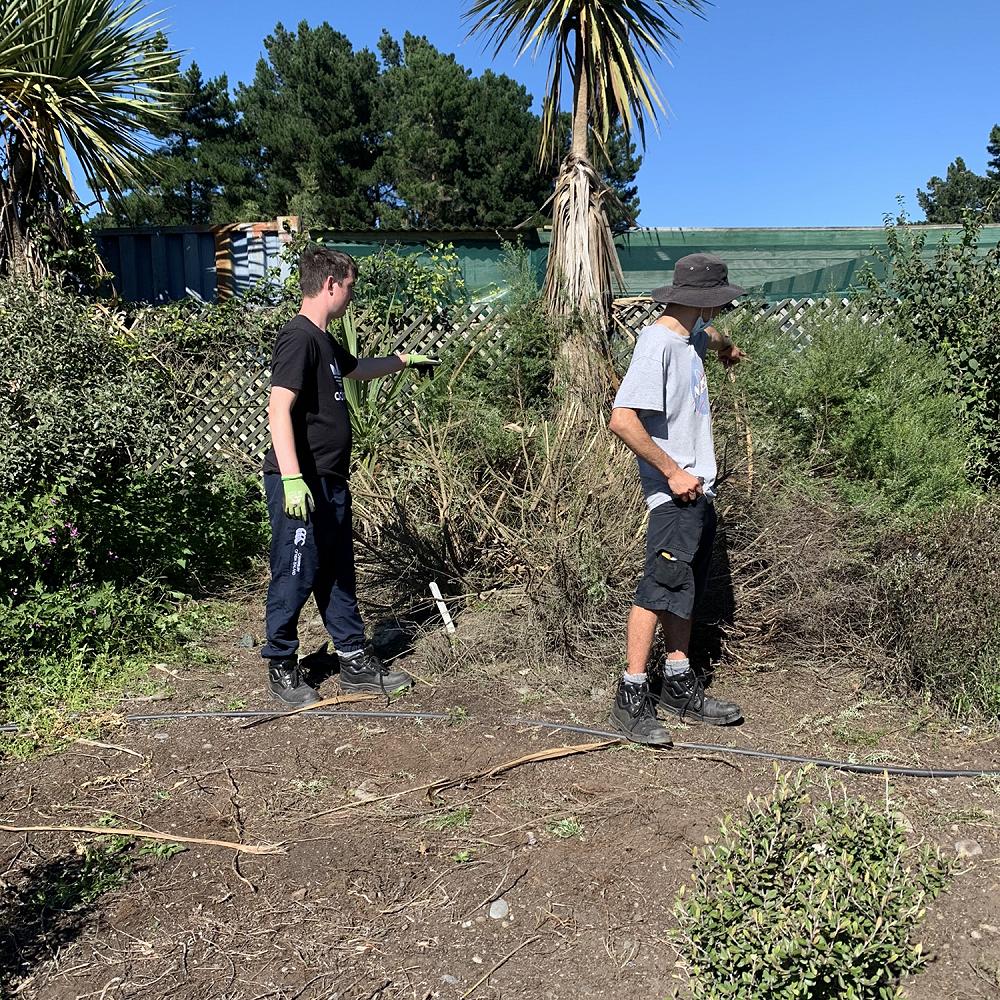 Pītau-Allenvale School News Issue 2 Term 2 2022