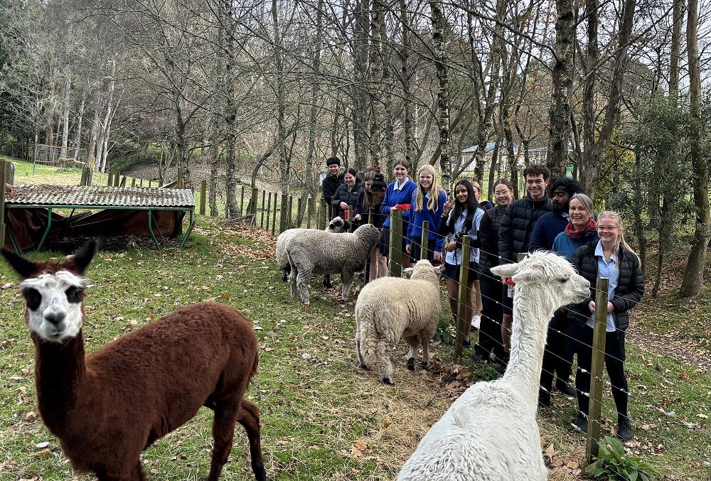 L2 Biology - Lilliput Farm — May 2024 Newsletter