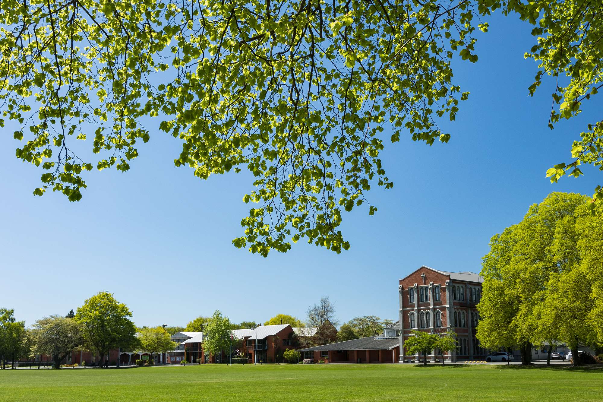 New faces in governance