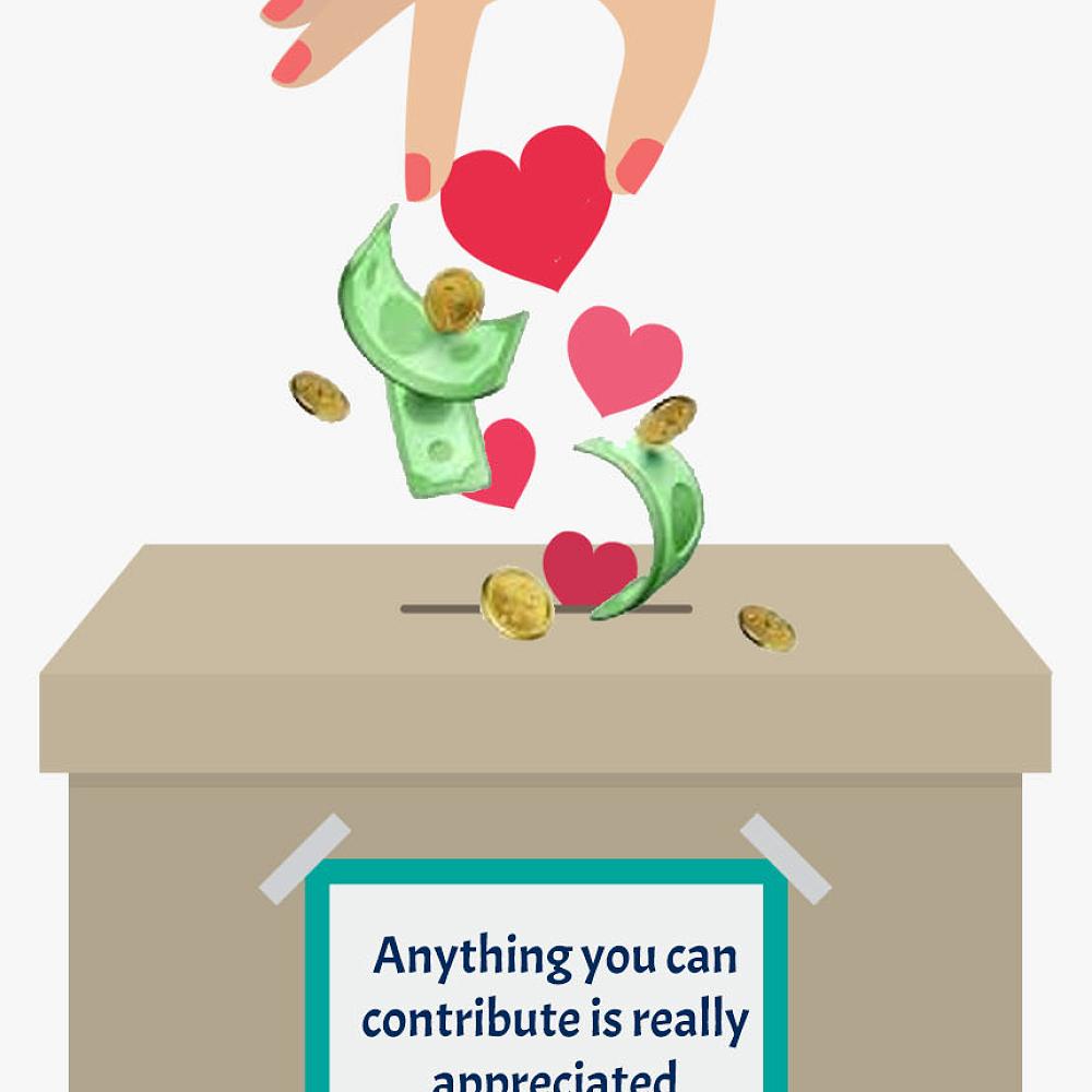 SCHOOL CONTRIBUTIONS