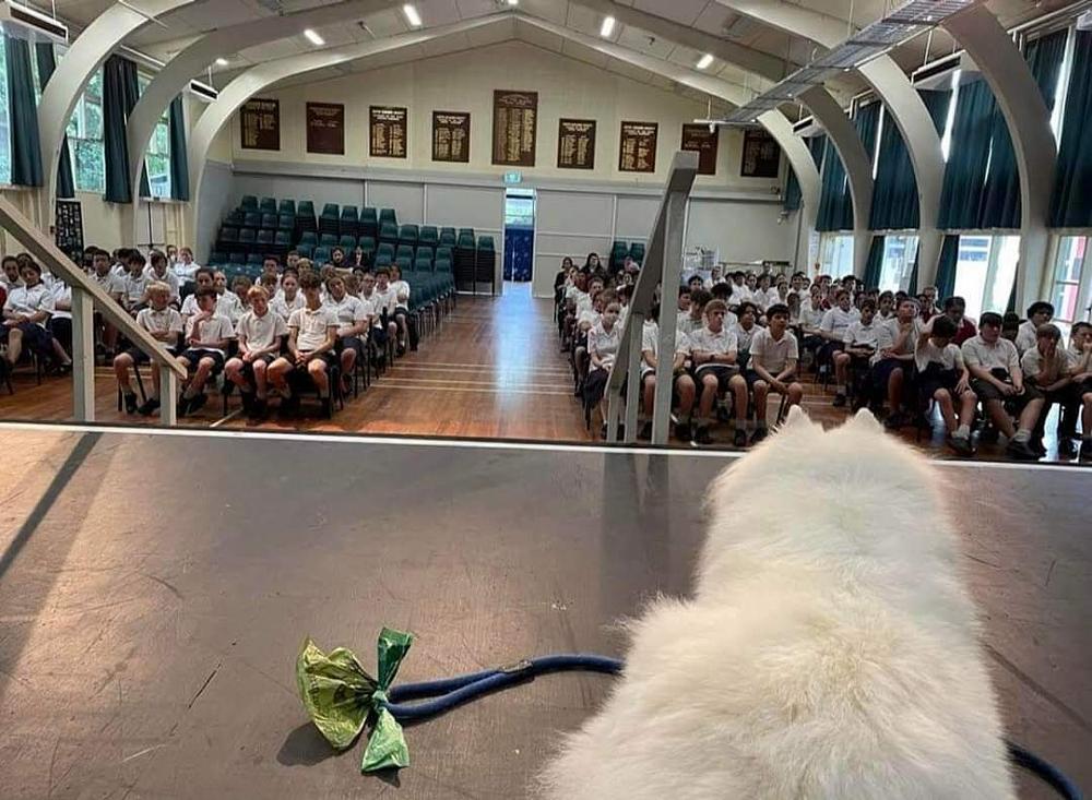 Middle School Award Assemblies — Tiger Times - Monthly Newsletter