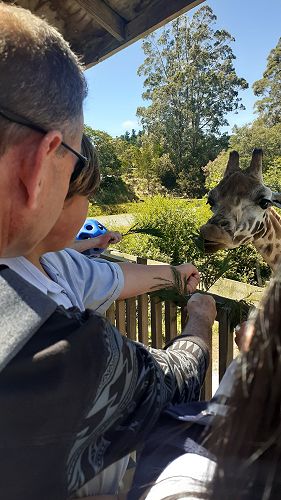 Newsletter 8th December 2024