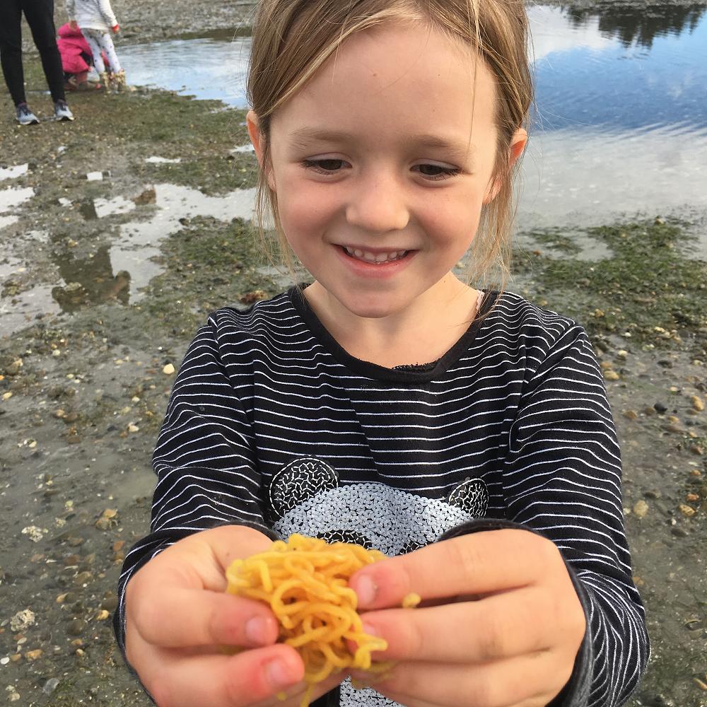 A trip to the rock pools, the estuary and the beach. What a treat!